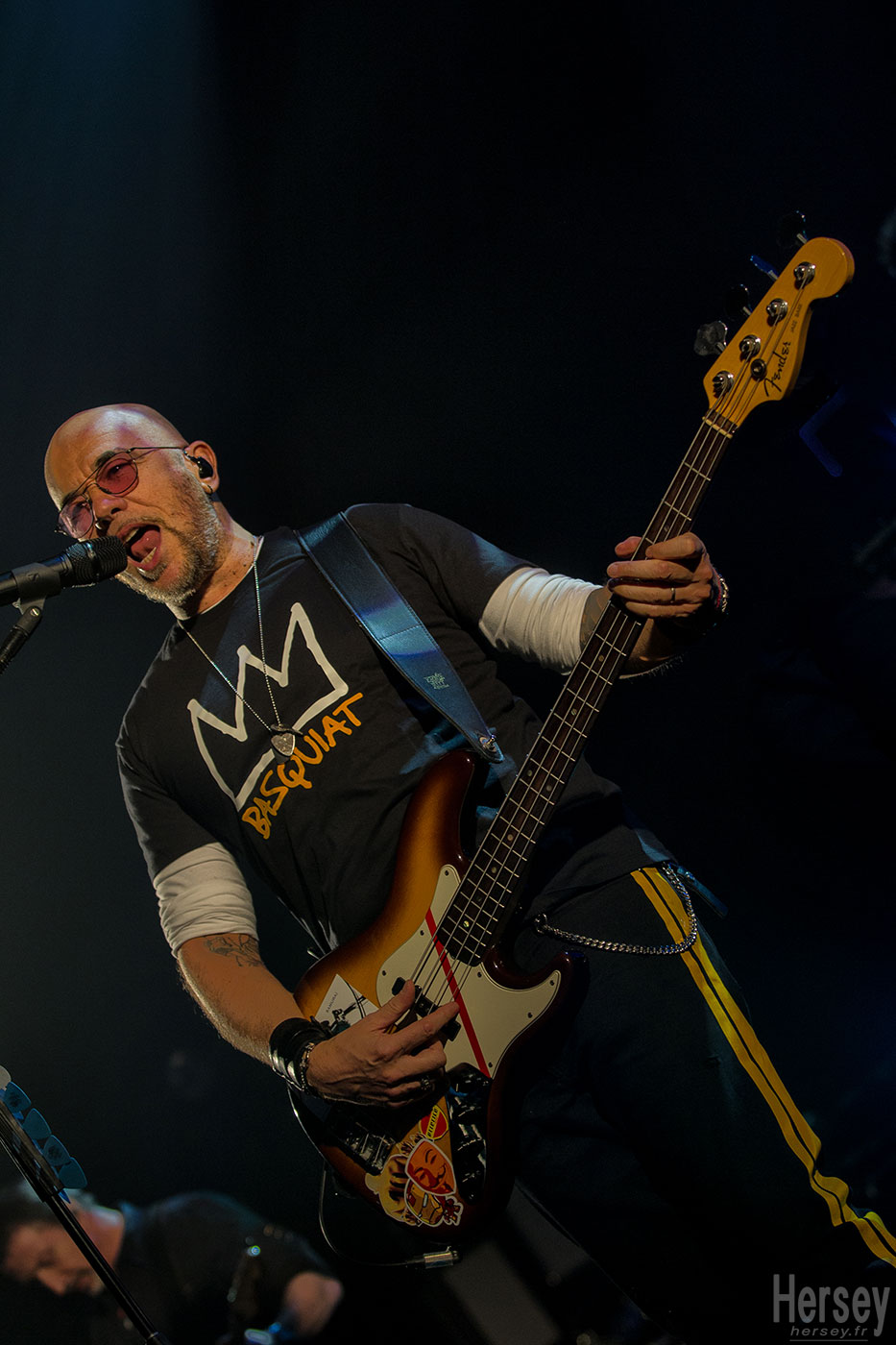 Pascal Obispo - Hersey Photographe Musique Concerts Ocitanie