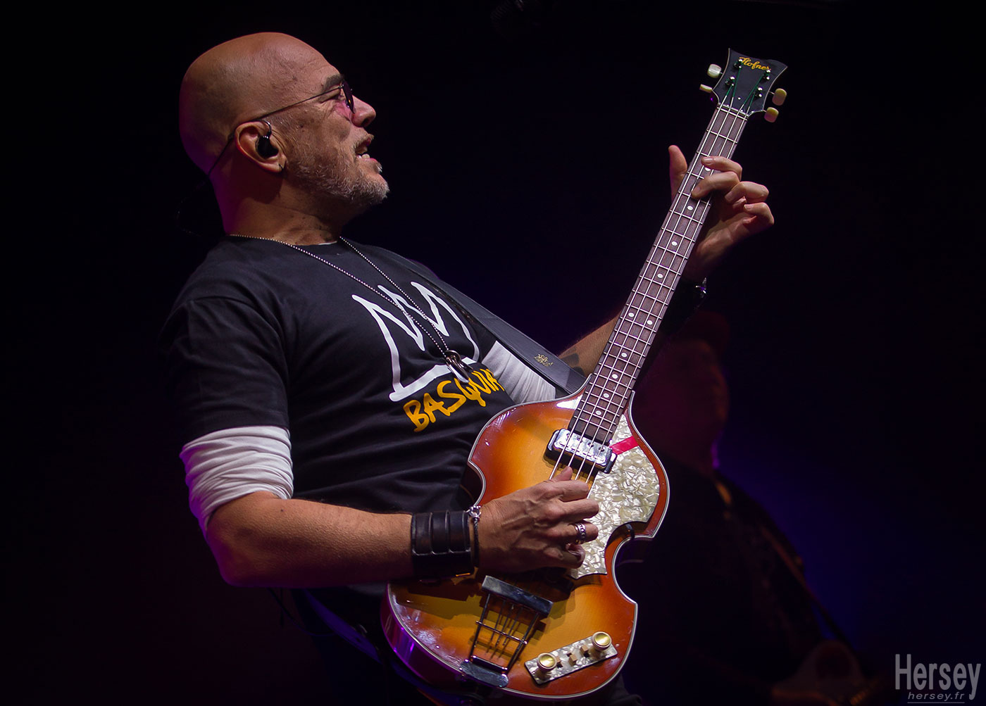 Photos concert Pascal Obispo Hersey Photographe concert Nîmes